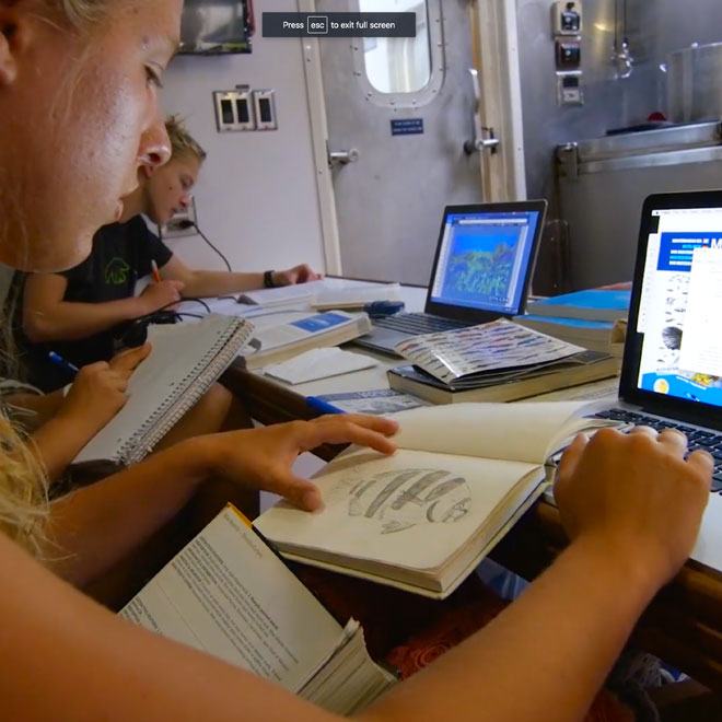 Study abroad while living aboard at sea - Sea|mester